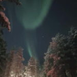 From Helsinki: Guided Forest Walk in the dark with campfire - The Value: Is It Worth It?
