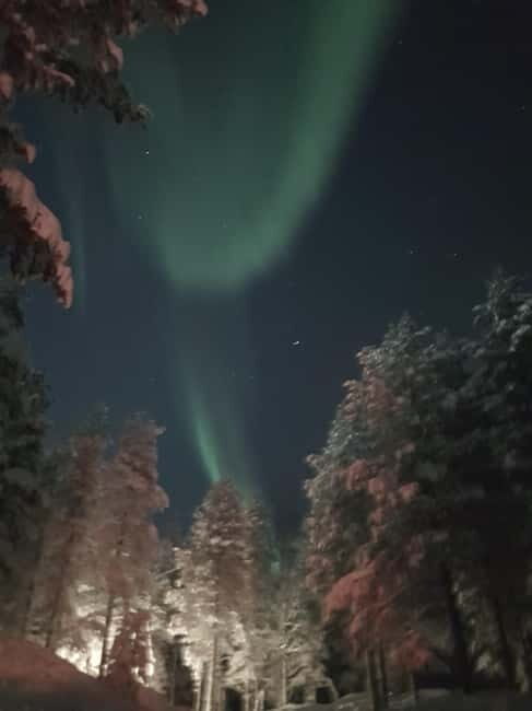From Helsinki: Guided Forest Walk in the dark with campfire - The Value: Is It Worth It?