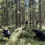 From Helsinki: Hike and Sauna in Sipoonkorpi National Park - Detailed Breakdown of the Itinerary