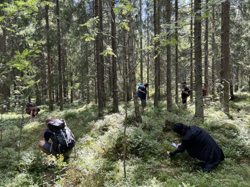 From Helsinki: Hike and Sauna in Sipoonkorpi National Park - Detailed Breakdown of the Itinerary