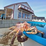From Honningsvåg: VIP North Cape and Kingcrab Tour - Exploring the Itinerary: What Makes This Tour Special