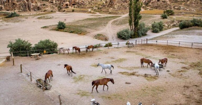 From Istanbul: Cappadocia, Ephesus, & Pamukkale Private Tour - The Value of the Experience