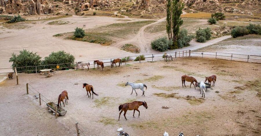From Istanbul: Cappadocia, Ephesus, & Pamukkale Private Tour - The Value of the Experience