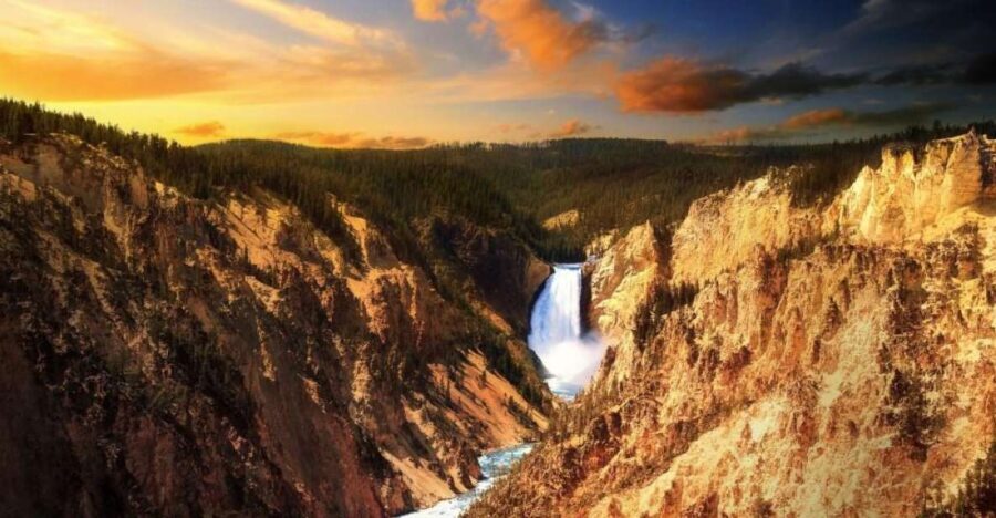 From Jackson: 2-Day Grand Teton and Yellowstone Tour - The Value of Guided Wildlife Tours