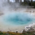 From Jackson: Yellowstone National Park Day Trip with Lunch - The Guides and Their Role