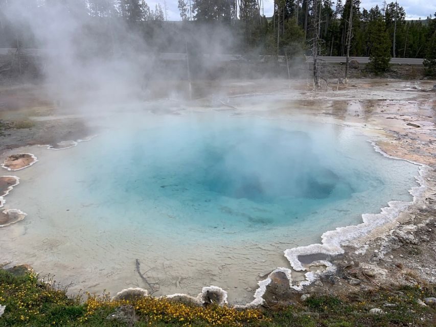 From Jackson: Yellowstone National Park Day Trip with Lunch - The Guides and Their Role