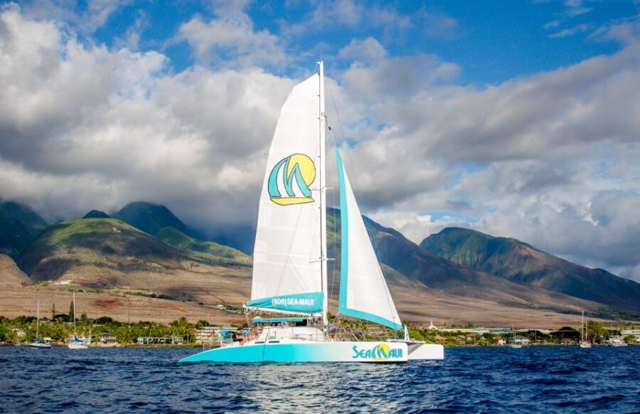 From Kaanapali: Afternoon West Maui Snorkeling w/ Drinks - The Value Proposition