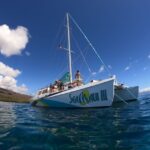 From Ka'anapali: West Maui Half-Day Snorkel Tour w/ Food - The Itinerary: What to Expect