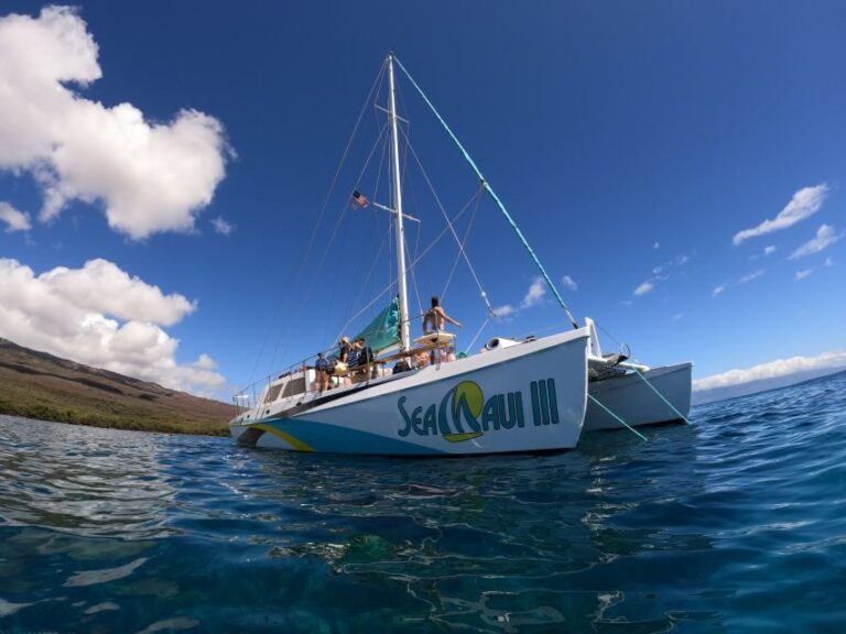 From Ka'anapali: West Maui Half-Day Snorkel Tour w/ Food - The Itinerary: What to Expect