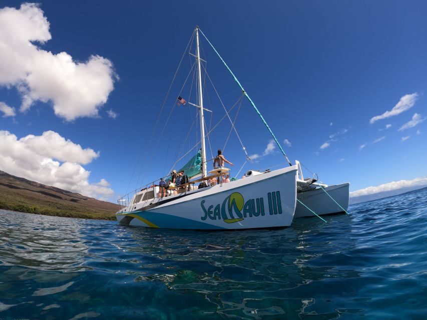 From Ka'anapali: West Maui Half-Day Snorkel Tour w/ Food - The Itinerary: What to Expect