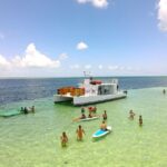 From Key West: Dolphin Watching Tour with Lunch & Drinks - Authentic Experiences and Guest Feedback