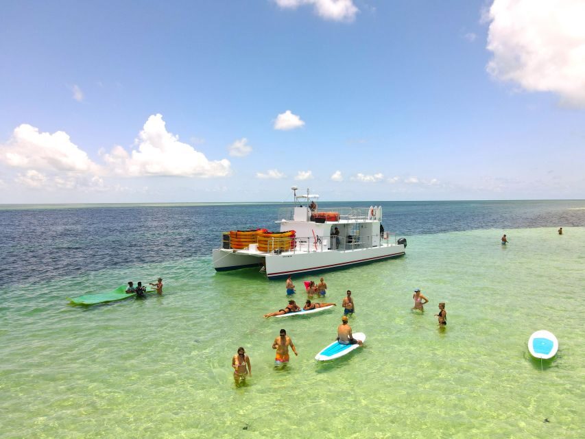 From Key West: Dolphin Watching Tour with Lunch & Drinks - Authentic Experiences and Guest Feedback