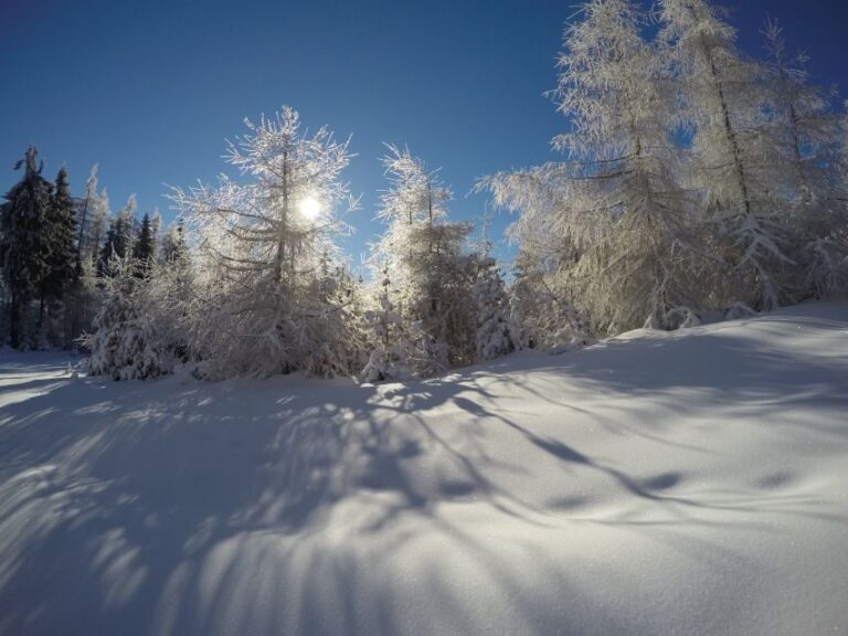 From Krakow: 3-Hour Skiing Experience Suitable for Beginners - The Experience in Detail