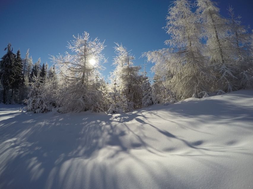 From Krakow: 3-Hour Skiing Experience Suitable for Beginners - The Experience in Detail