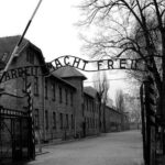 From Krakow: Auschwitz-Birkenau and Salt Mine with Private Transfer - Wieliczka Salt Mine: An Underground Wonder