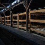 From Krakow: Auschwitz-Birkenau Full-Day Tour - What the Reviews Tell Us