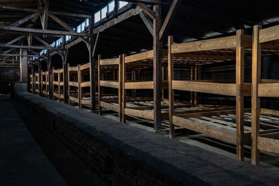 From Krakow: Auschwitz-Birkenau Full-Day Tour - What the Reviews Tell Us