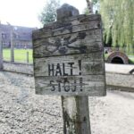 From Kraków: Auschwitz-Birkenau Memorial Guided Tour - The Value of This Experience