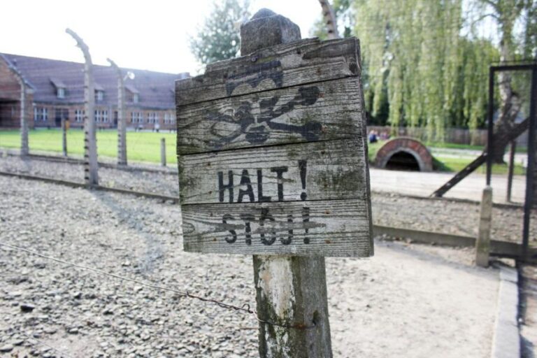 From Kraków: Auschwitz-Birkenau Memorial Guided Tour - The Value of This Experience