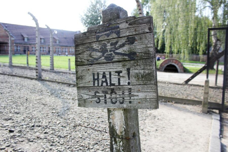 From Kraków: Auschwitz-Birkenau Memorial Guided Tour - The Value of This Experience
