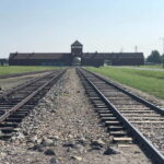 From Krakow: Auschwitz-Birkenau Tour with Transportation - Who Is This Tour Best For?