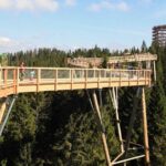 From Krakow: Morskie Oko in the Tatra Mountains and Slovakia Treetop Walk - Who Will Love This Tour?
