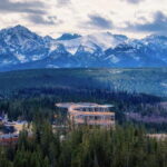 From Kraków: Mountain Treetop Walk & Zakopane Day Trip - Practical Details and Value