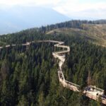From Kraków: Slovakia Treetop Walk and Tour of Zakopane - Who Should Book This Tour?