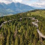 From Krakow: Slovakia Treetop Walk and Zakopane Tour - Deep Dive into Each Stop