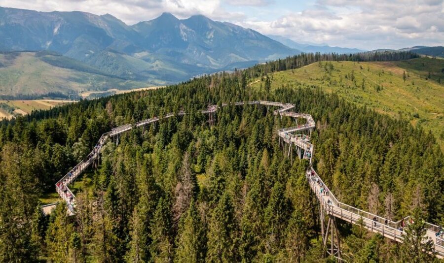 From Krakow: Slovakia Treetop Walk and Zakopane Tour - Deep Dive into Each Stop
