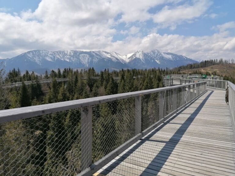 From Krakow: Treetop Walk & Zakopane Visit Small Group Tour - Who Would Love This Tour?