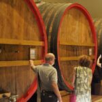From Lake Garda: Full-Day Valpolicella Wine and Lunch Guided Trip - The Value of This Experience