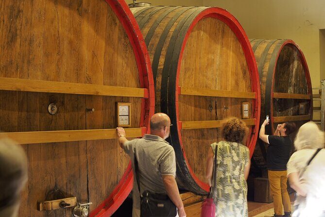 From Lake Garda: Full-Day Valpolicella Wine and Lunch Guided Trip - The Value of This Experience