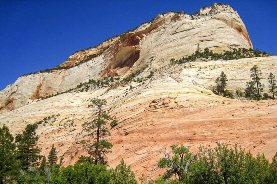 From Las Vegas: VIP Small-Group Zion National Park Adventure - Meals, Logistics, and Comfort
