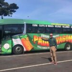 From Limerick: Full-Day Guided Tour of Cliffs of Moher - The Guide and Overall Value