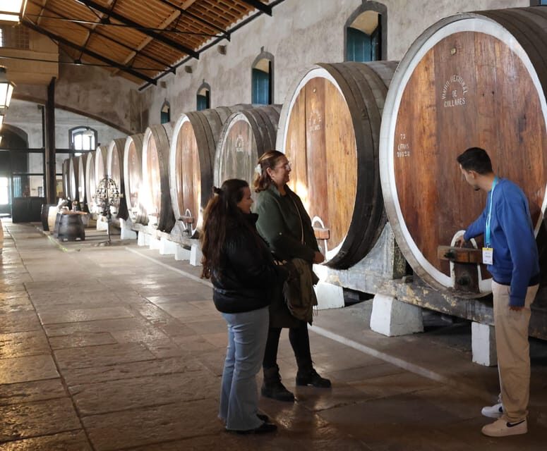 From Lisbon: Sintra, Pena Palace, Cascais and Wine Tasting - The Charm of Sintra Town