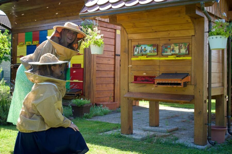 From Ljubljana: All About Bees - What You Can Expect from This Tour