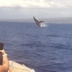 From Maalaea Harbor: Whale Watching Tours Aboard Winona Catamaran - Why This Tour Will Suit You