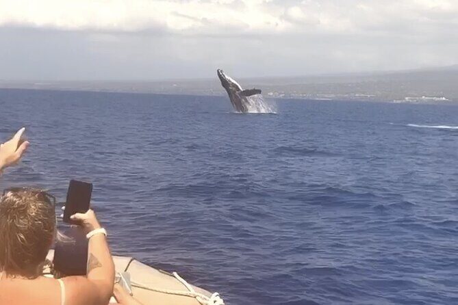 From Maalaea Harbor: Whale Watching Tours Aboard Winona Catamaran - Why This Tour Will Suit You