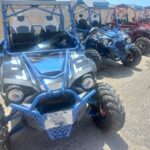 From Malta: Full-Day Gozo Buggy Tour with Lunch & Boat Ride - The Value: Is it Worth the Price?