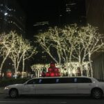 From Manhattan: Private Brooklyn Christmas Tour by Limousine - What to Expect from Your Private Christmas Limousine Tour