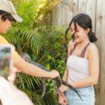 From Miami: Everglades Airboat, Wildlife Show & Bus Transfer - The Everglades Holiday Park