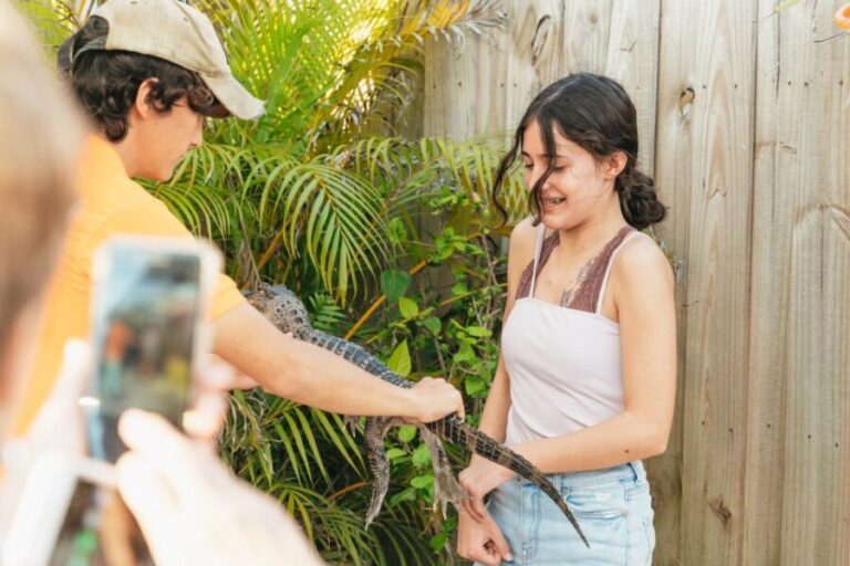 From Miami: Everglades Airboat, Wildlife Show & Bus Transfer - The Everglades Holiday Park