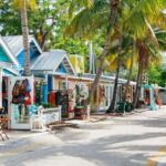 From Miami: Key West Day Trip - The Highlights of the Experience