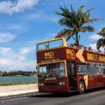 From Miami: Open-Top Bus Tour, Bay Cruise, & Everglades Adventure - The Itinerary in Detail