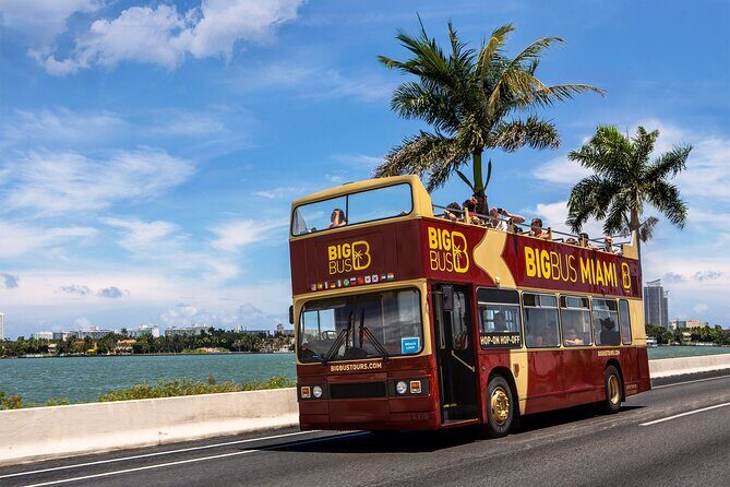 From Miami: Open-Top Bus Tour, Bay Cruise, & Everglades Adventure - The Itinerary in Detail