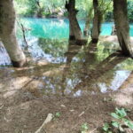 From Mostar: Half-Day Trip to the Kravica Waterfall - Transport, Timing, and Group Size