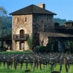 From Napa: Santa Rosa Wine Tasting Tour - Visiting Santa Rosas Wineries: What to Expect