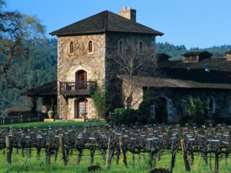 From Napa: Santa Rosa Wine Tasting Tour - Visiting Santa Rosas Wineries: What to Expect