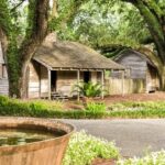 From New Orleans: Oak Alley Plantation Tour - What Travelers Say